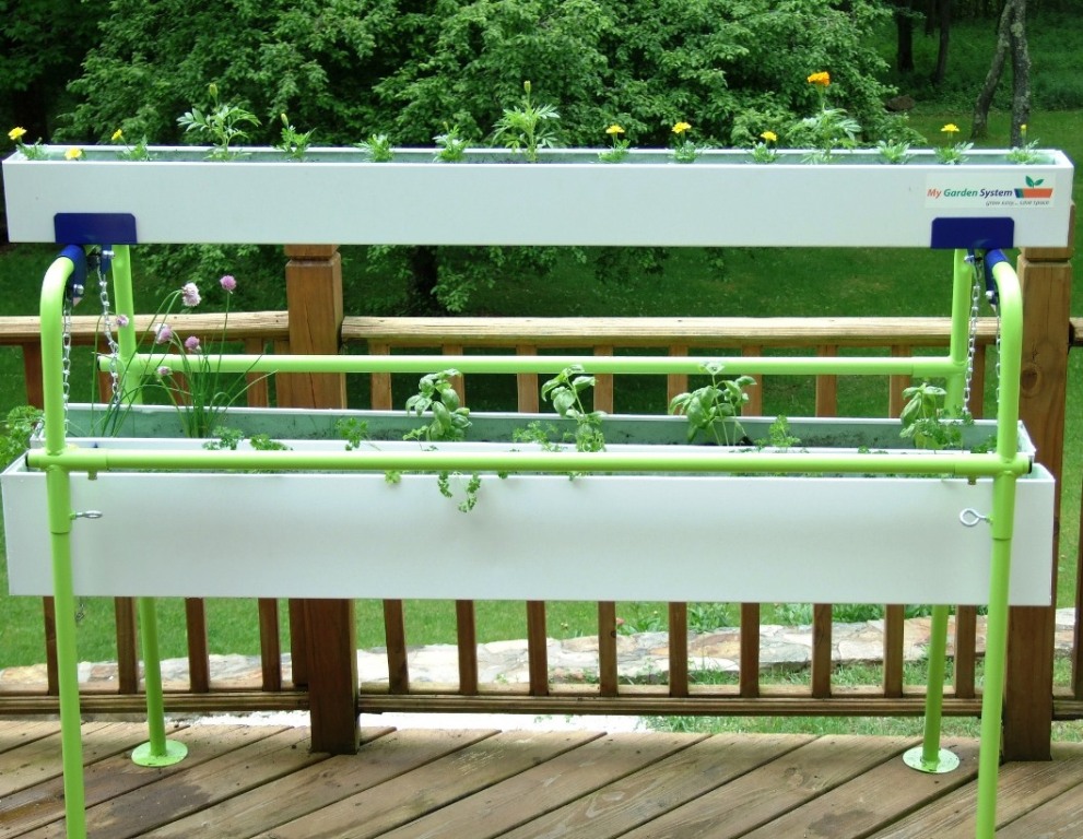 Grow a Sustainable Urban Container Garden with Ease | PRUnderground