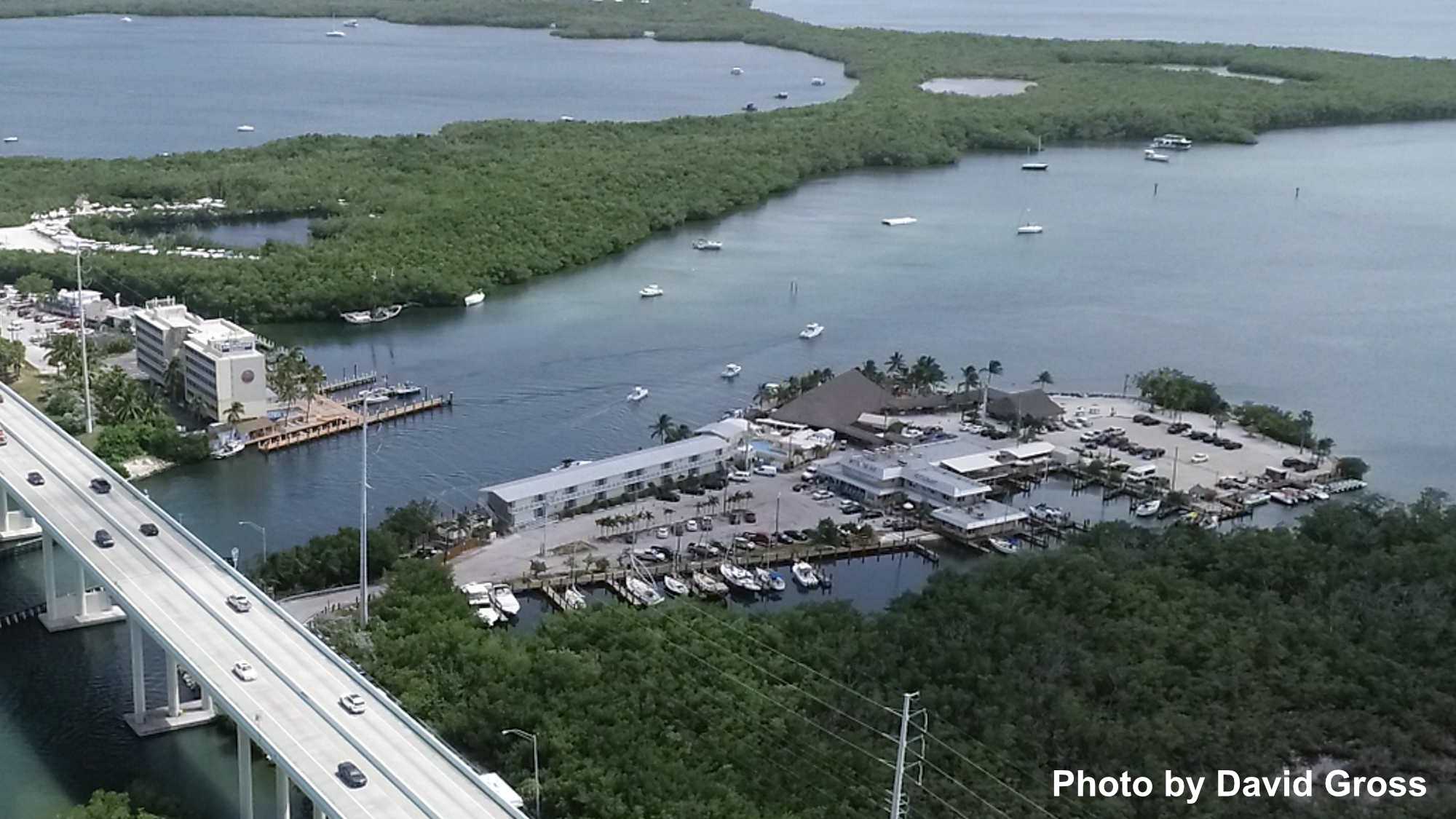 The 2021 First State Bank Key Largo Bridge Run Returns To Gilbert's ...